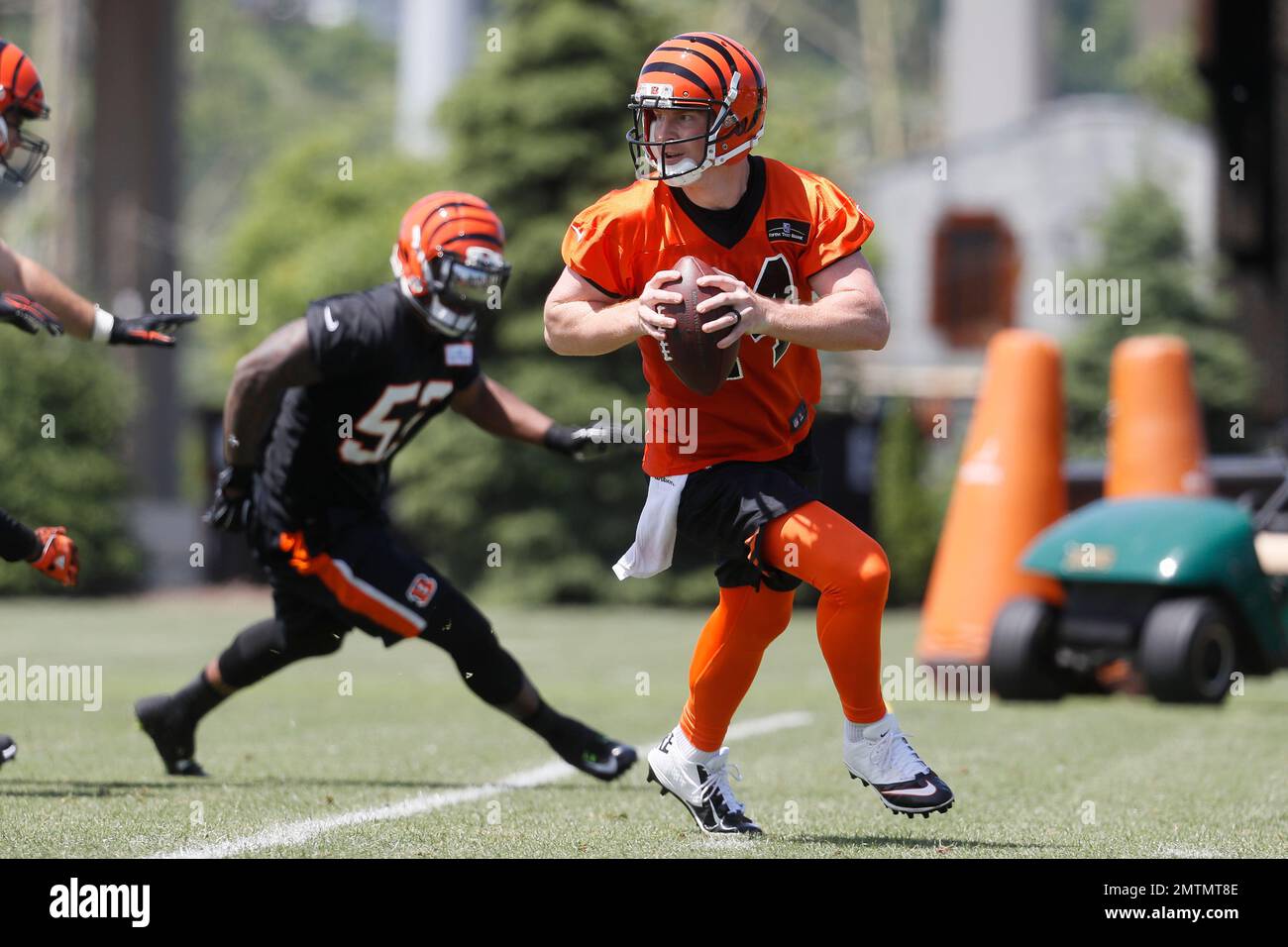 Cincinnati Bengals quarterback Andy Dalton runs a play during organized ...