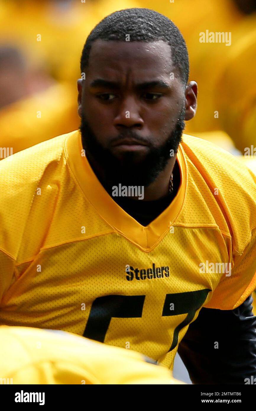 Pittsburgh Steelers linebacker Keith Kelsey (57) during an NFL football ...