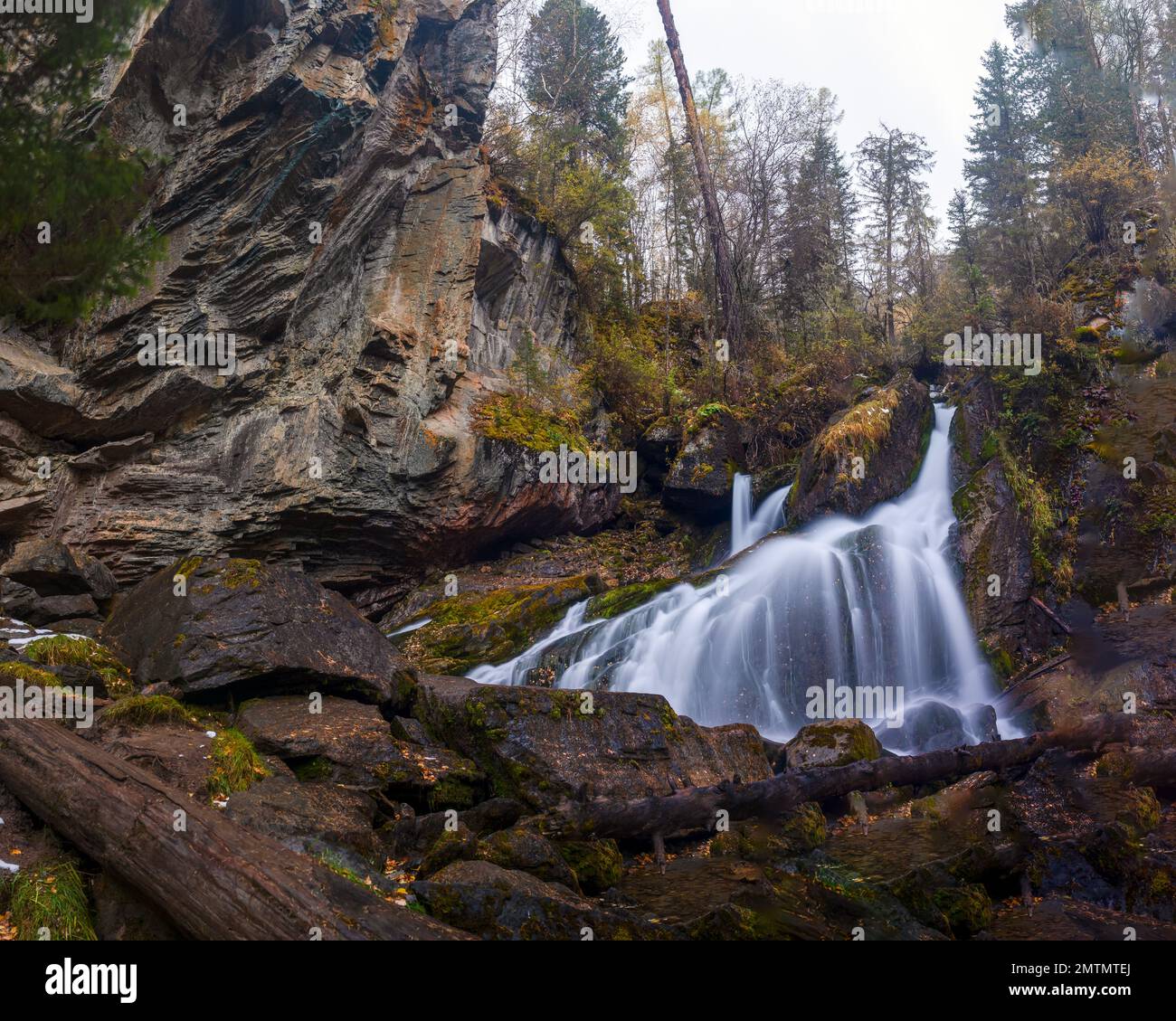 The waterfall falls from high rocks in a forest in the Altai mountains ...