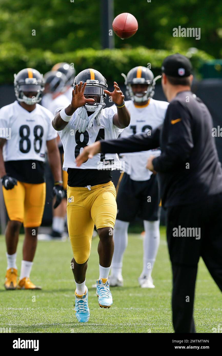 Pittsburgh Steelers wide receiver Antonio Brown (84) during an NFL ...
