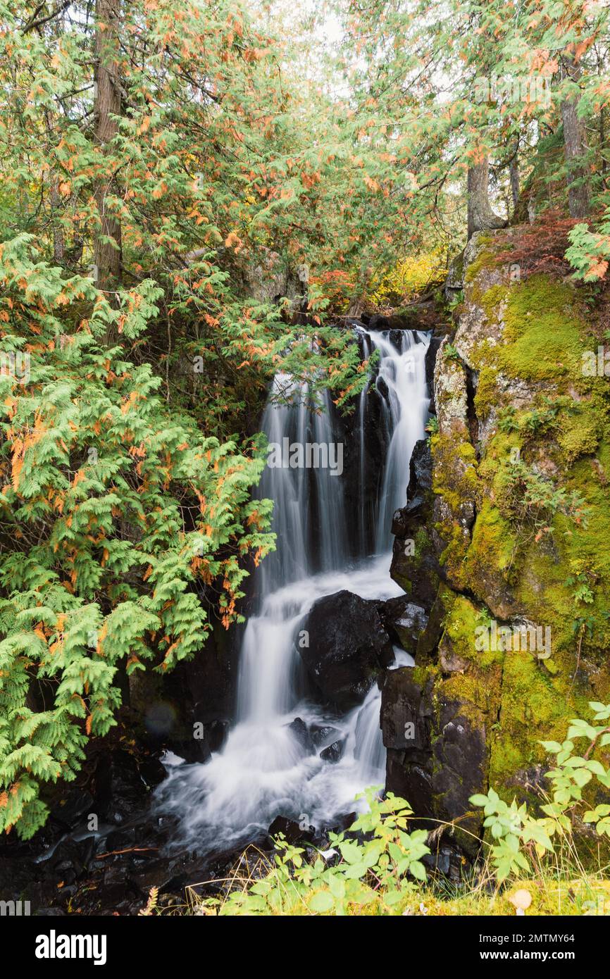 A vertical shot of a beautiful waterfall surrounded by a surreal forest ...