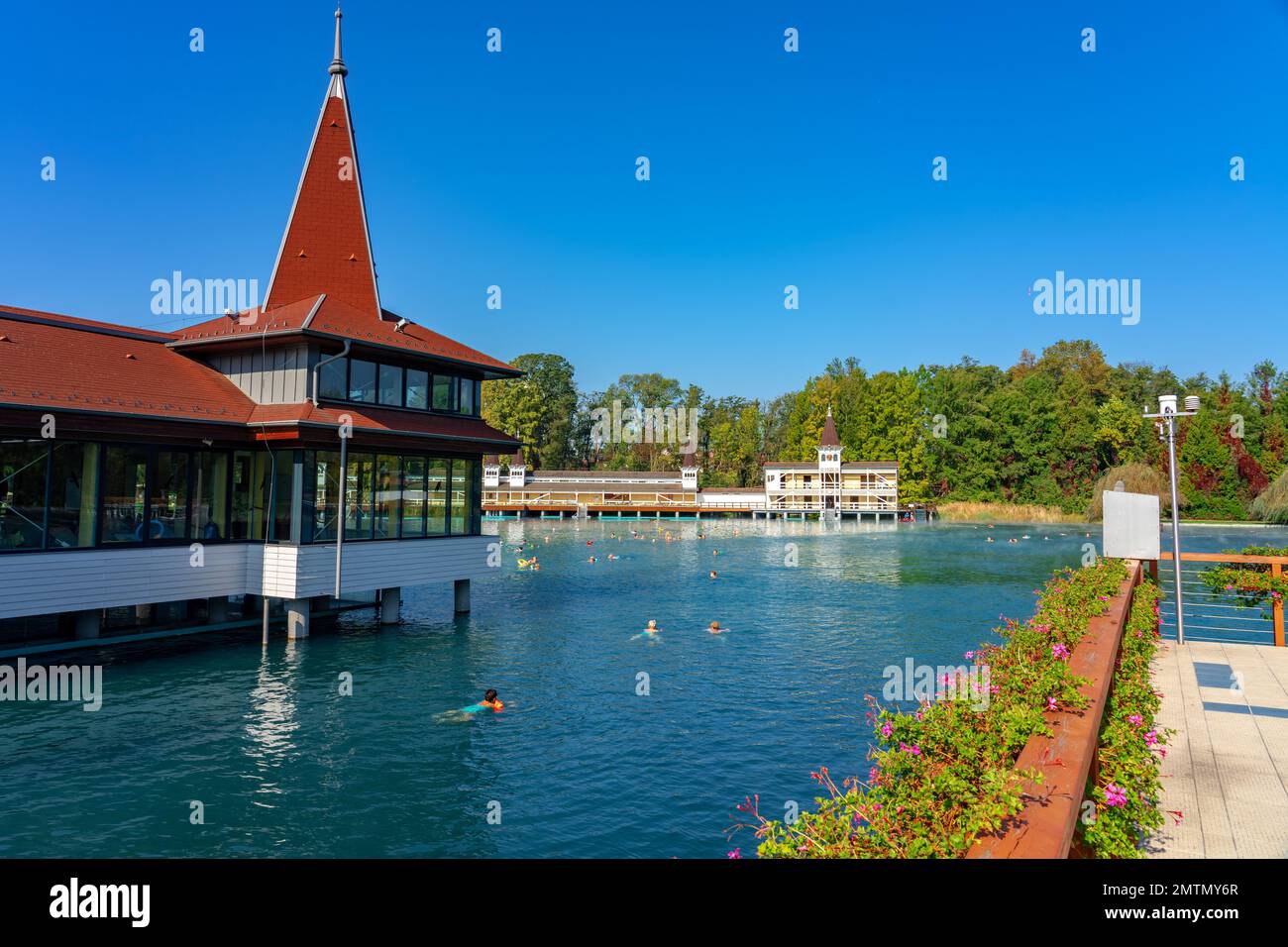 famous Heviz balneal thermal bath hot spring in Hungary with flowers ...
