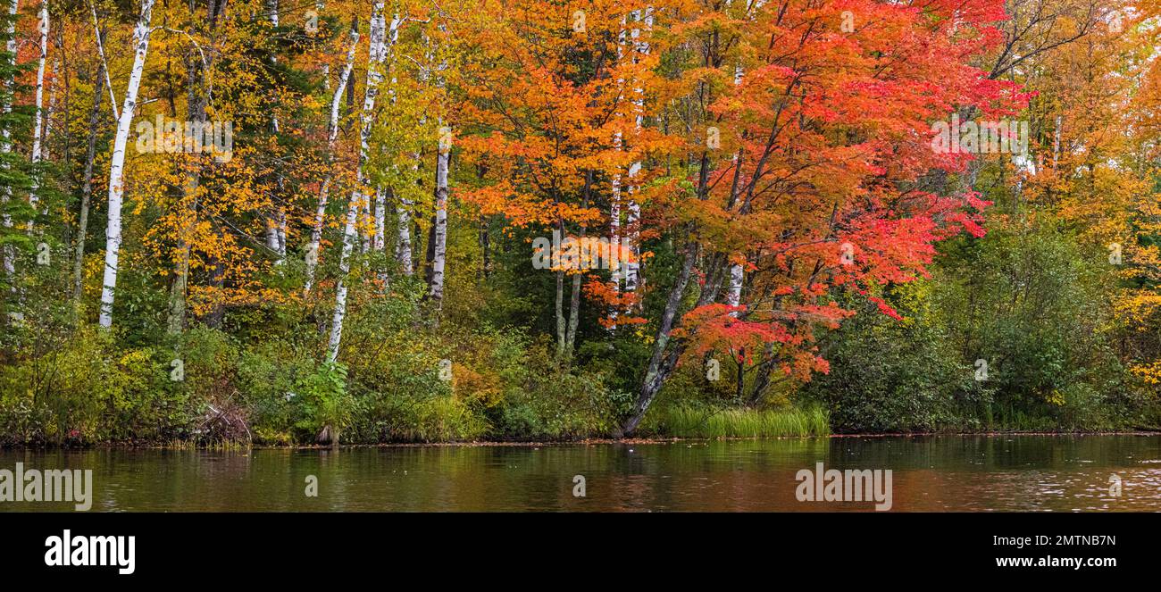 Fall colors on the East Fork of the Chippewa River in northern ...