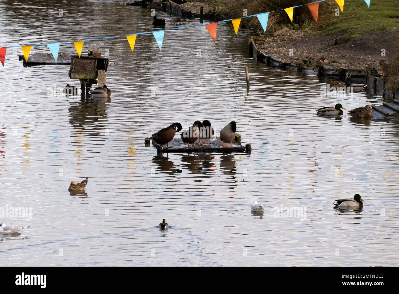 Blakeney harbour, north Norfolk Stock Photo - Alamy