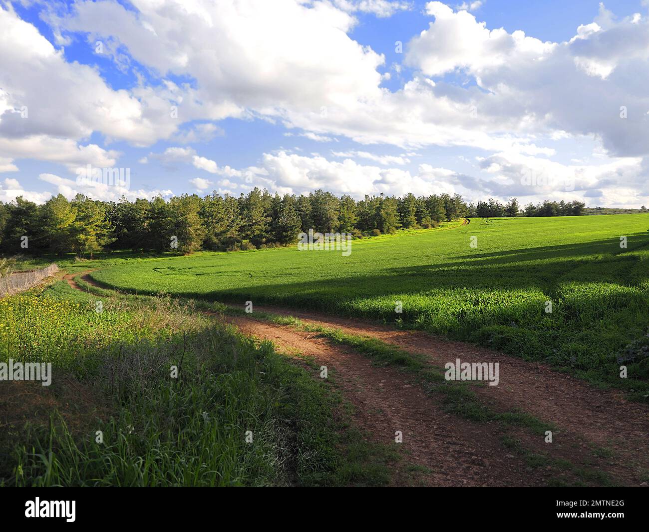 Green winter in Israel. Beautiful Israeli landscape Stock Photo - Alamy