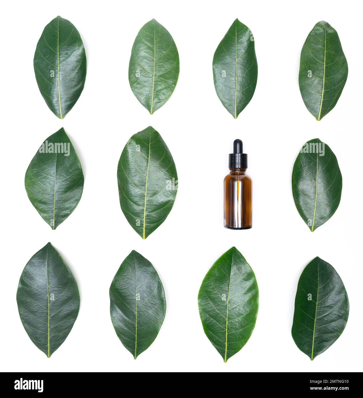 Dropper skin care Cut Out Stock Images & Pictures - Alamy