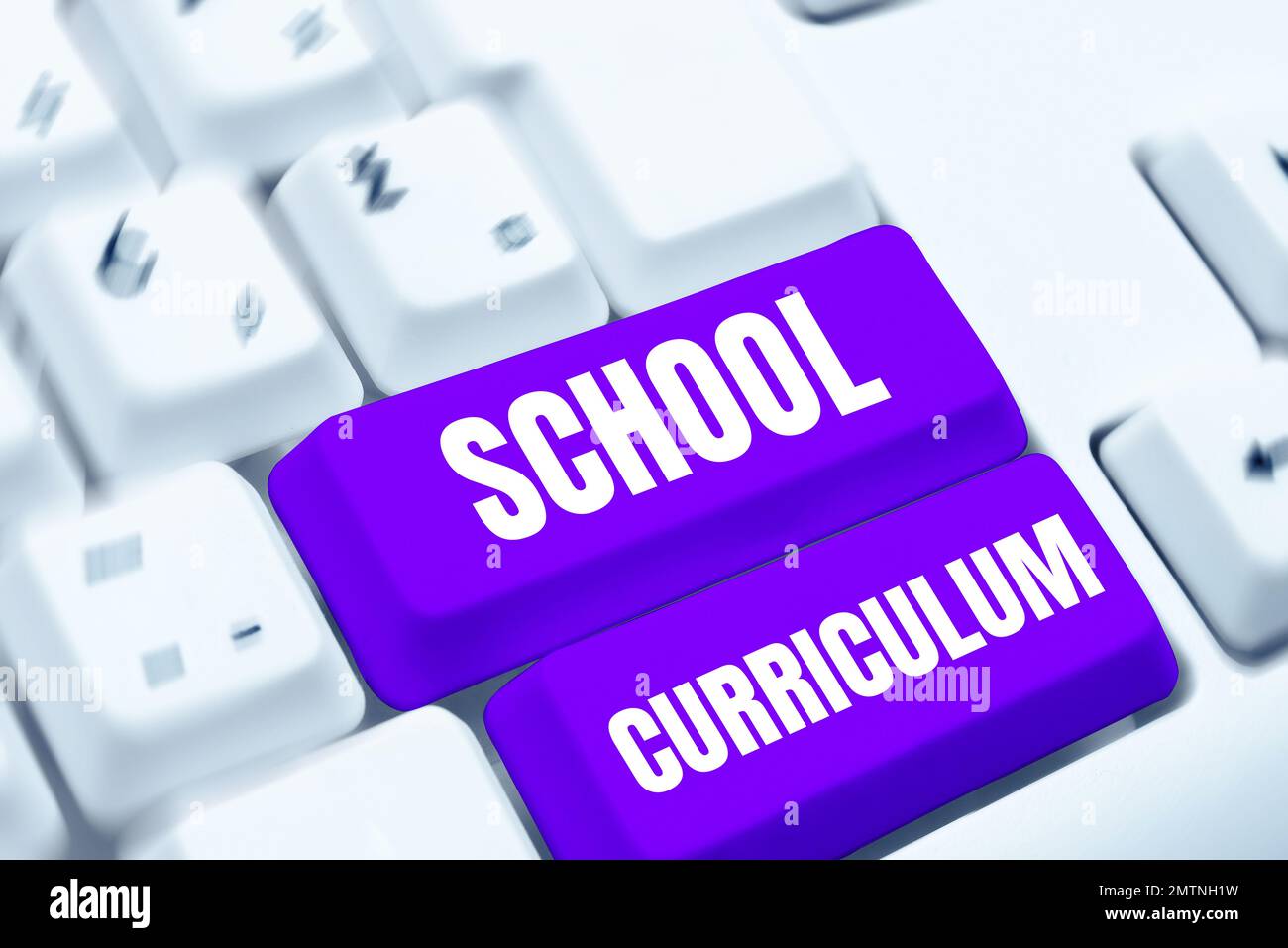 Hand writing sign School Curriculum. Business showcase designed to ...