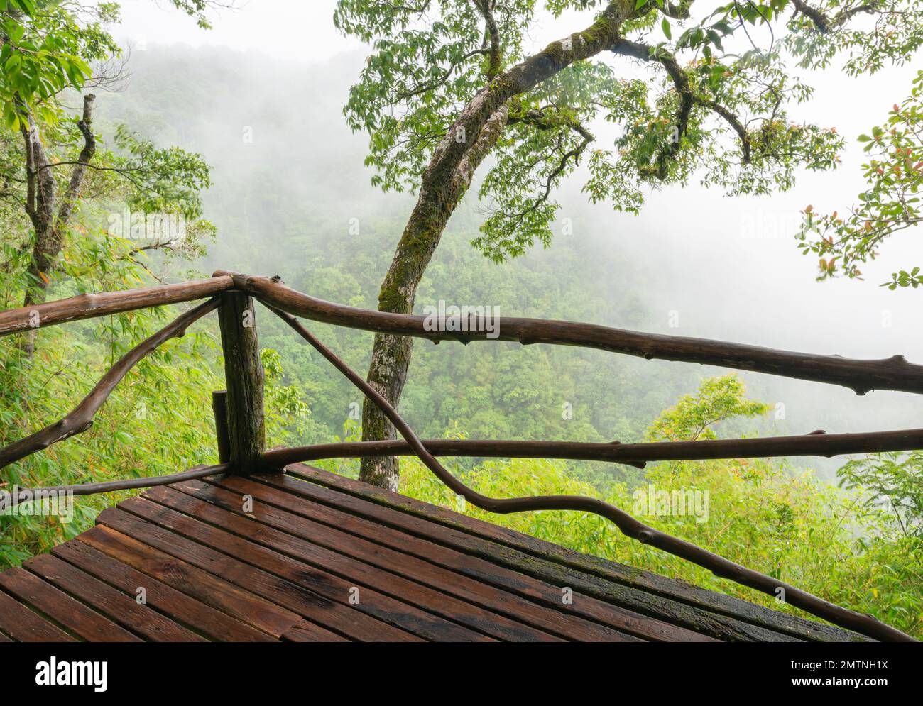 wooden terrace of cabin unique house on tree rain forest fog scene ...
