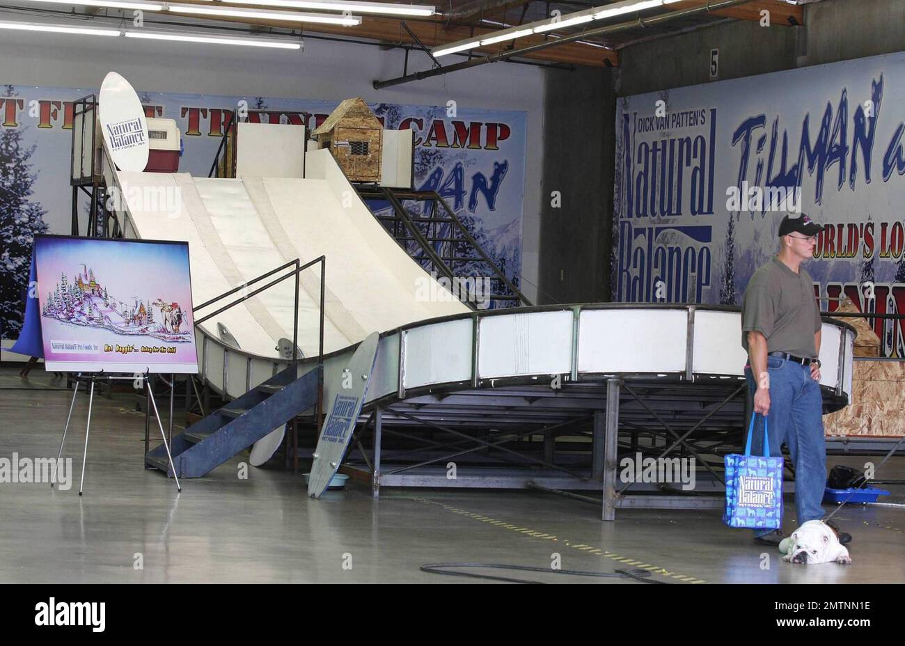 EXCLUSIVE!! Over 50 bulldogs show off their snowboarding skills in ...