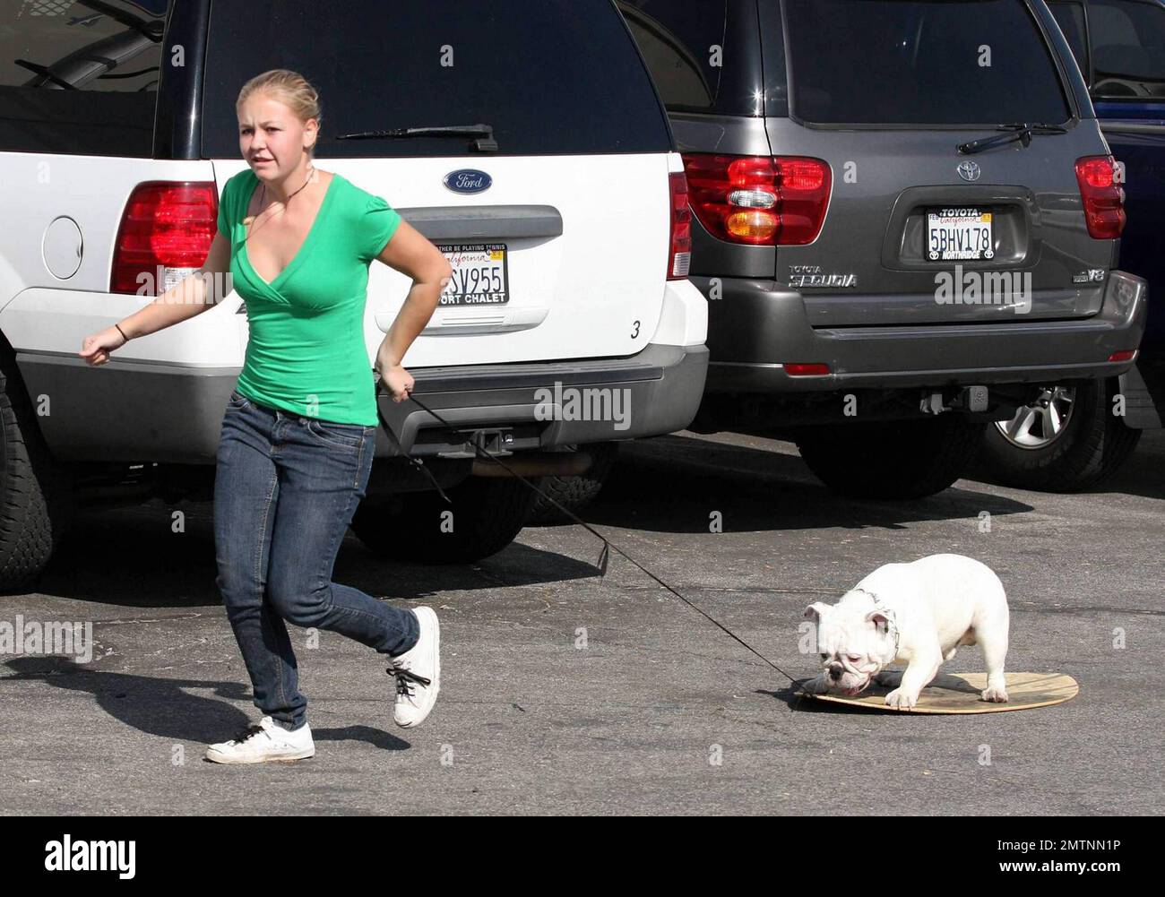 EXCLUSIVE!! Over 50 bulldogs show off their snowboarding skills in ...