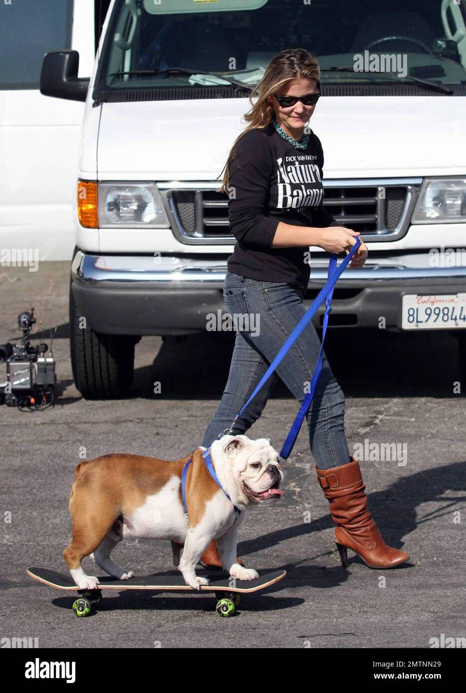 EXCLUSIVE!! Over 50 bulldogs show off their snowboarding skills in ...