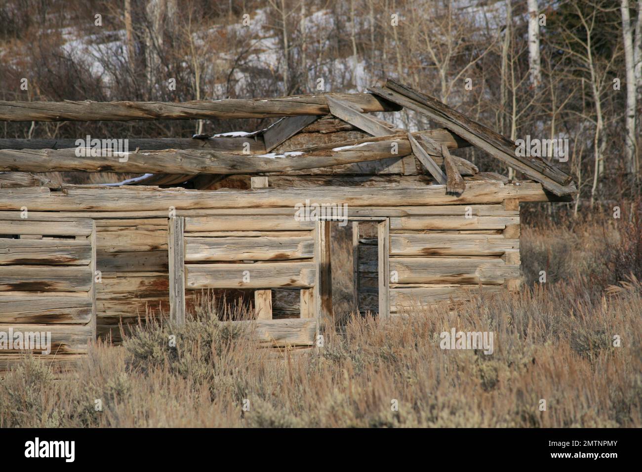 old log homestead side view Stock Photo - Alamy