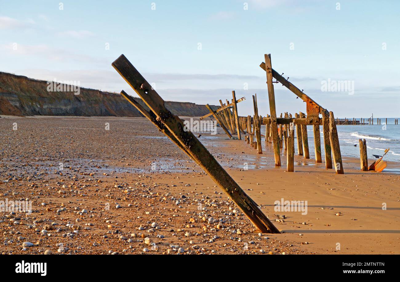 Abandoned sea defences with continued coast erosion landward to soft ...