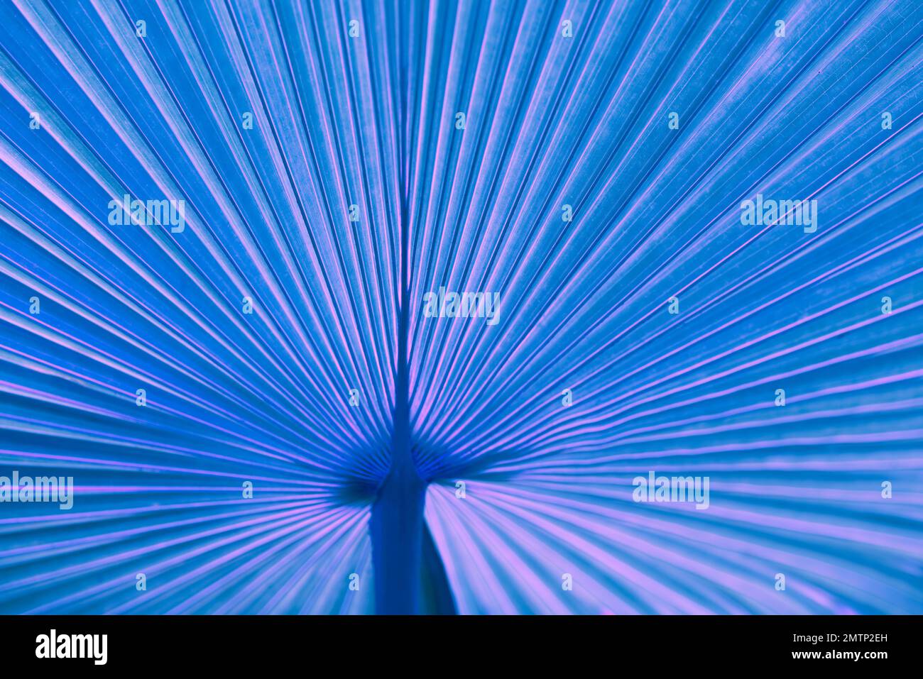 90s aesthetic background hi-res stock photography and images - Alamy