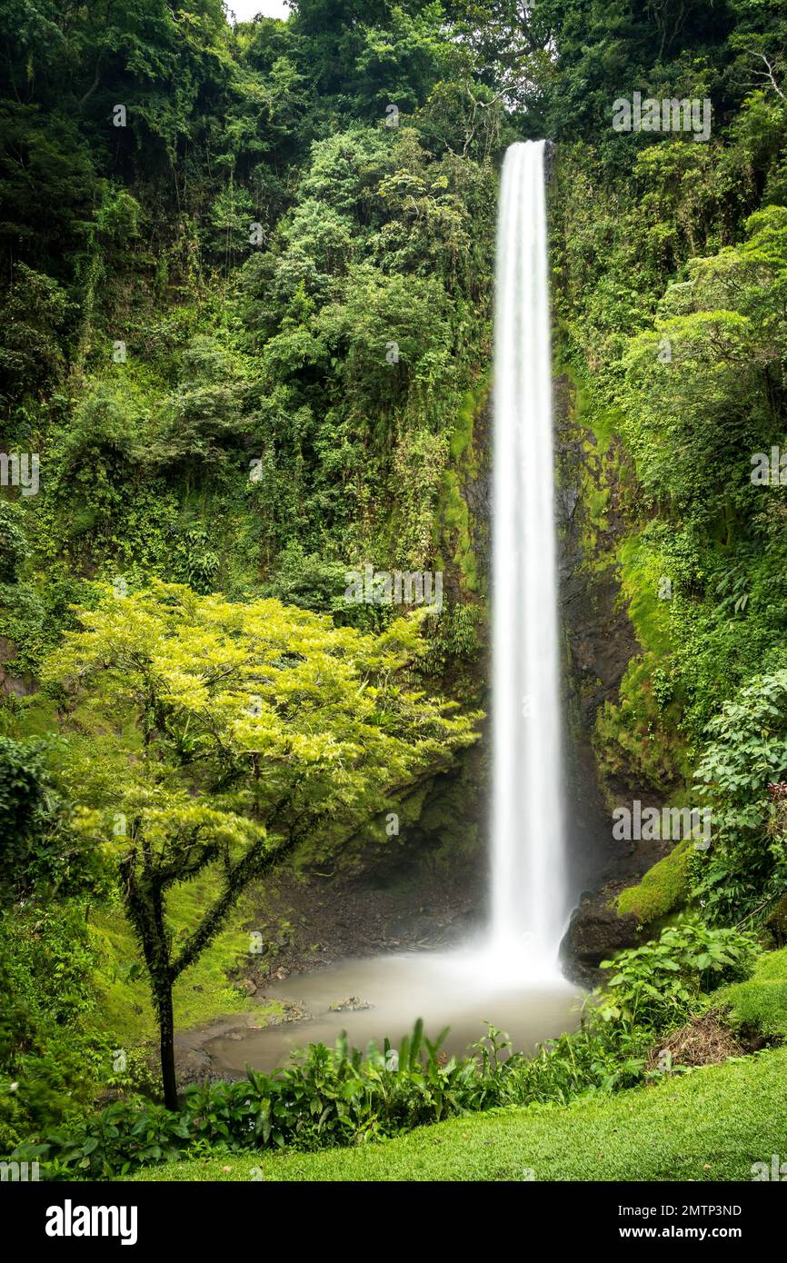 A vertical shot of the Fuipisia Waterfall in a forest in Samoa Stock ...