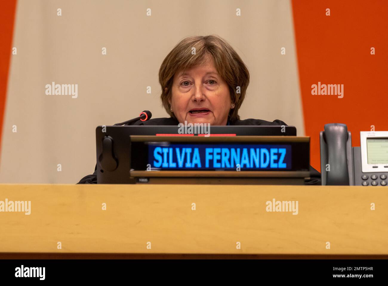 Honorable Judge Silvia Fernández de Gurmendi, President of the ...