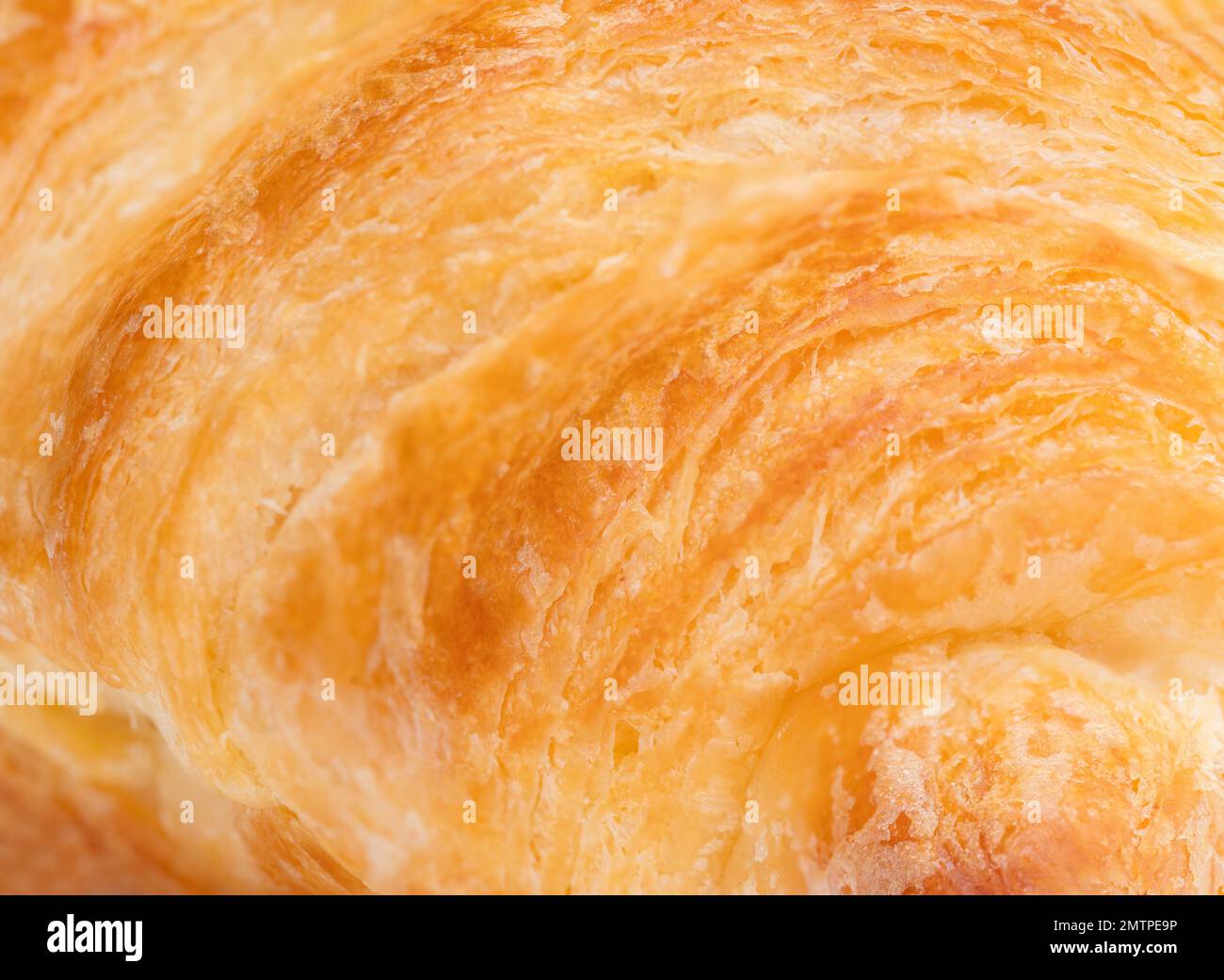 close up macro bakery golden brown croissant homemade blur background ...