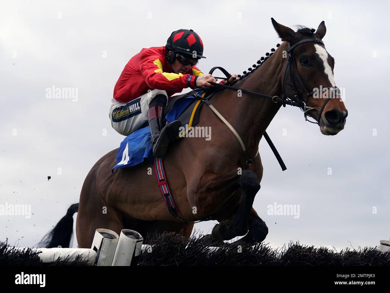 Cuthbert dibble racecourse hi-res stock photography and images - Alamy