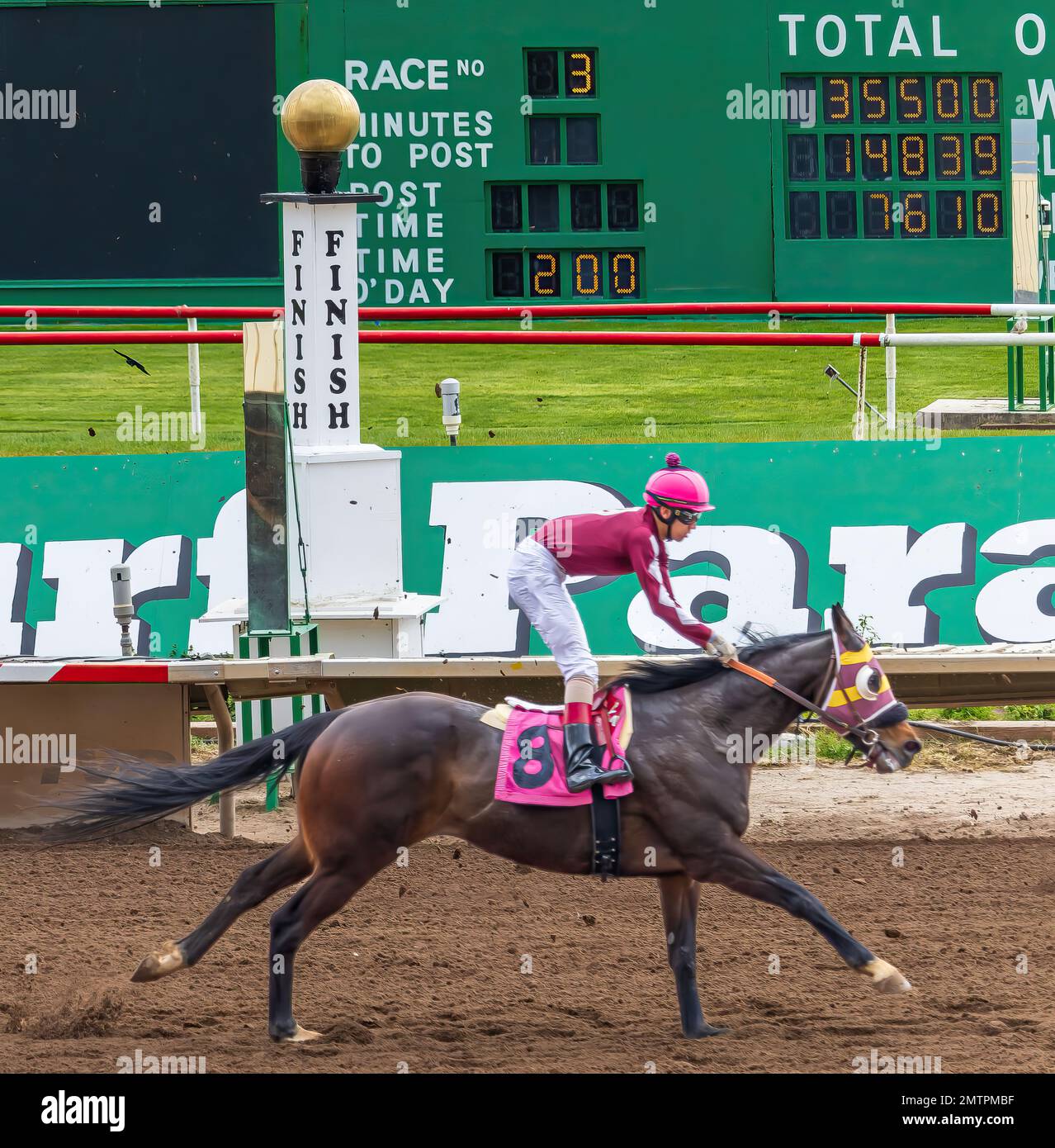 Phoenix patterson hi-res stock photography and images - Alamy