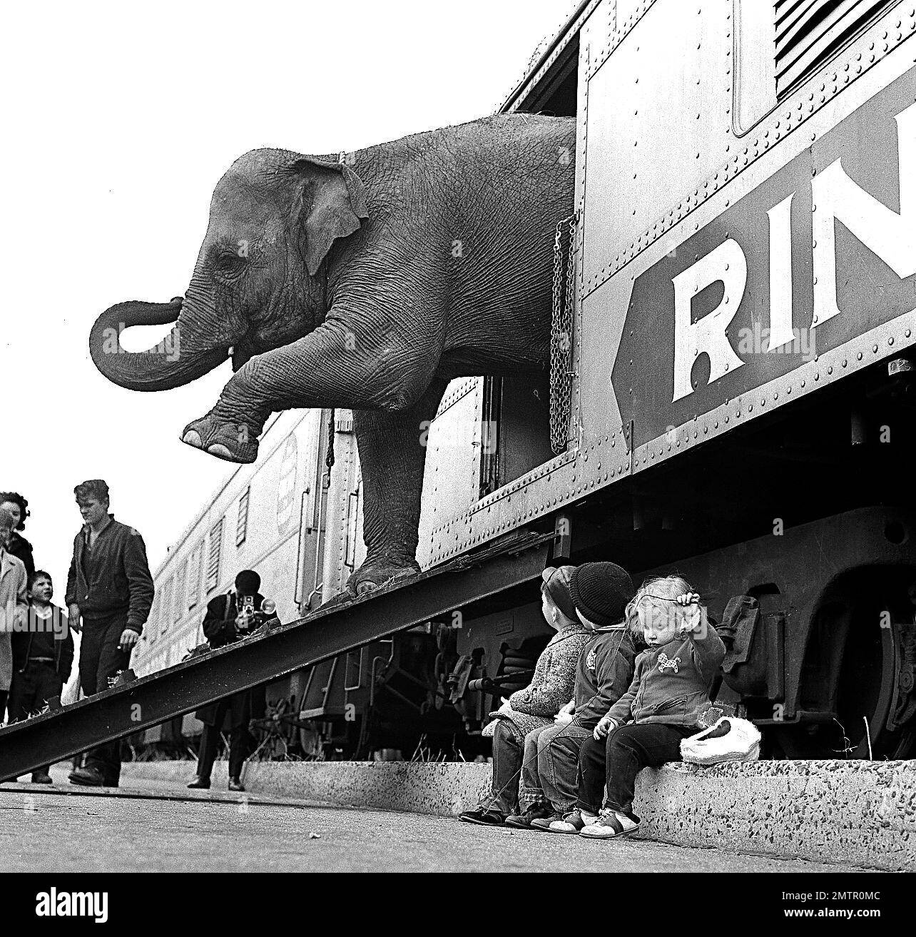 FILE - In this April 1, 1963 file photo, a Ringling Bros. Circus ...