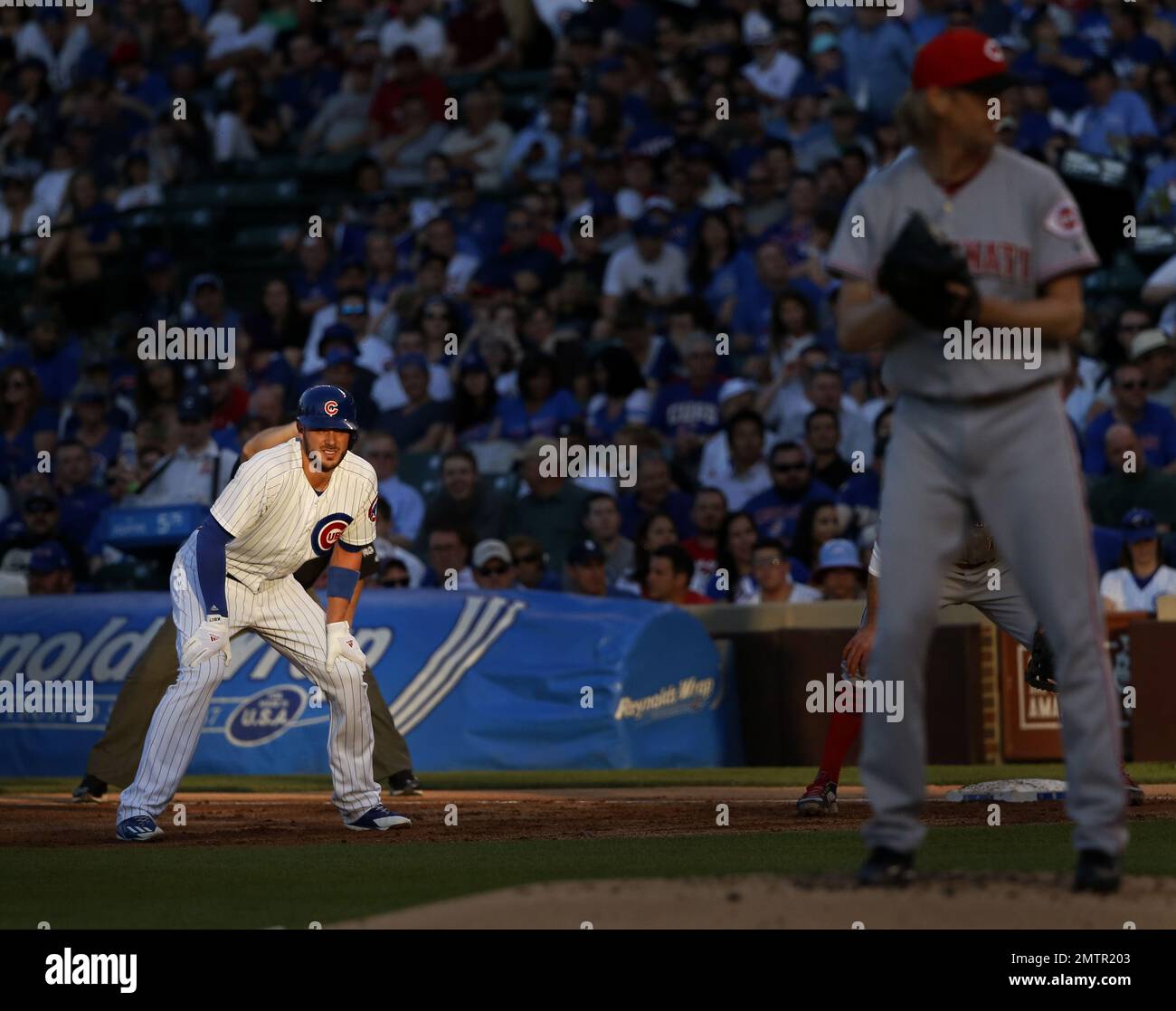 Chicago Cubs' Kris Bryant keeps an eye on Cincinnati Reds starting ...