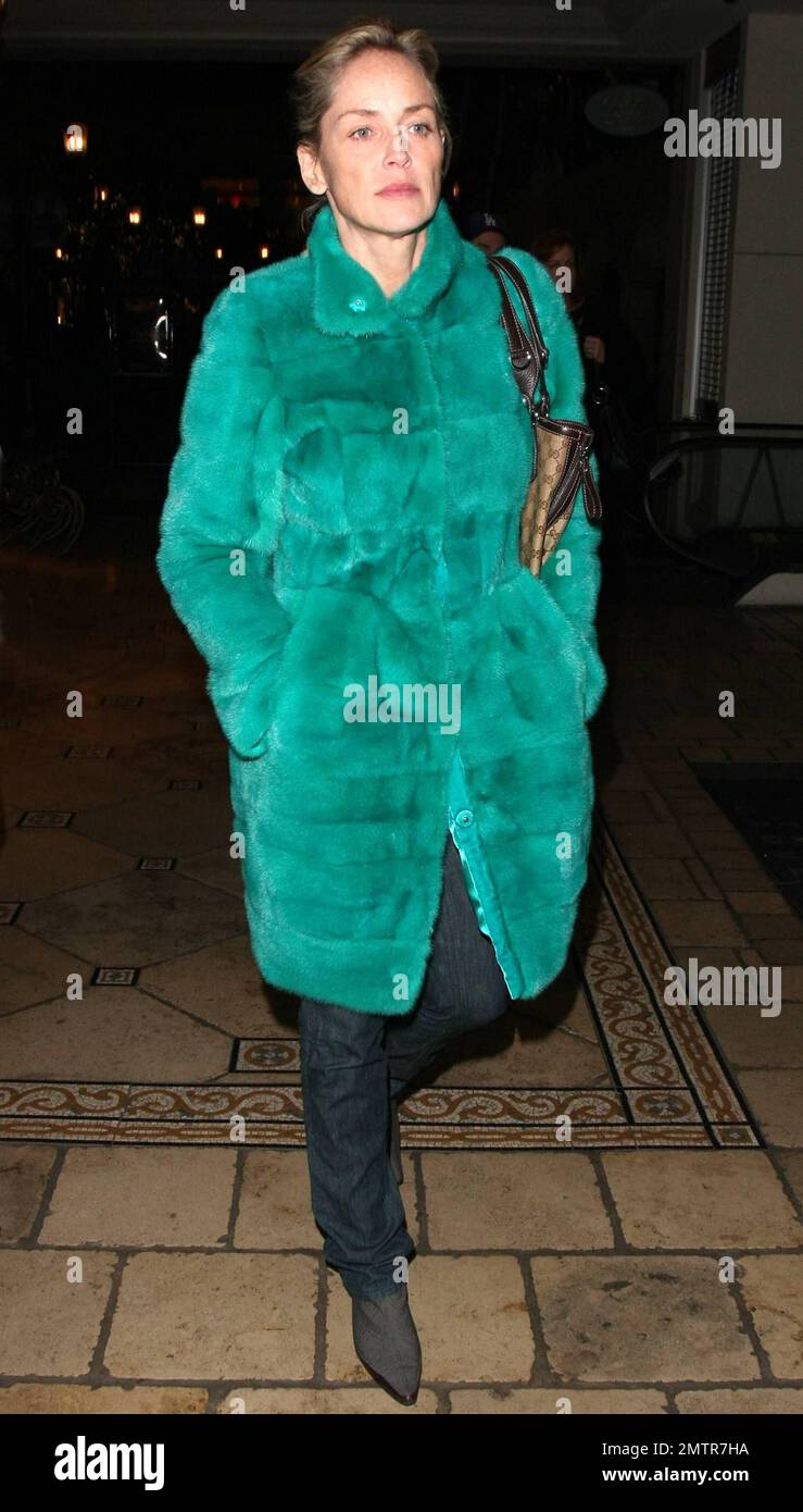 Sharon Stone takes the kids on a family movie date at the Pacific ...