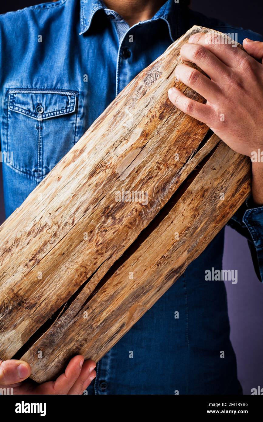 Man with tree stump in his hand cut off Stock Photo - Alamy