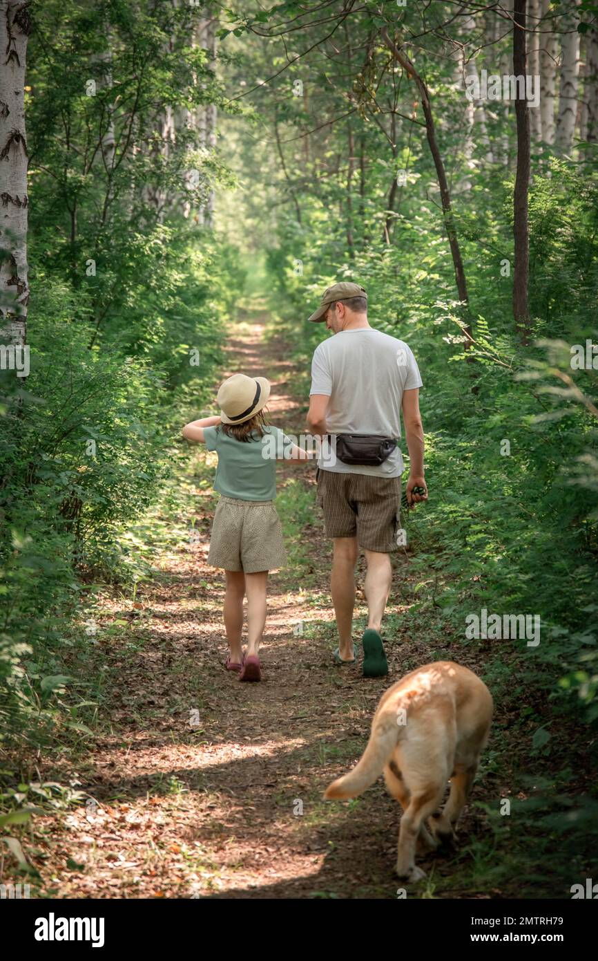 a daughter with a dad and a Labrador dog walk along a forest path in ...