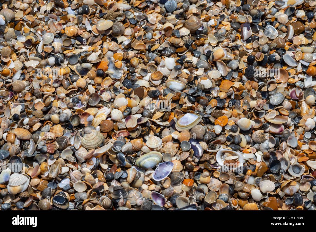 Flawless beach hi-res stock photography and images - Alamy