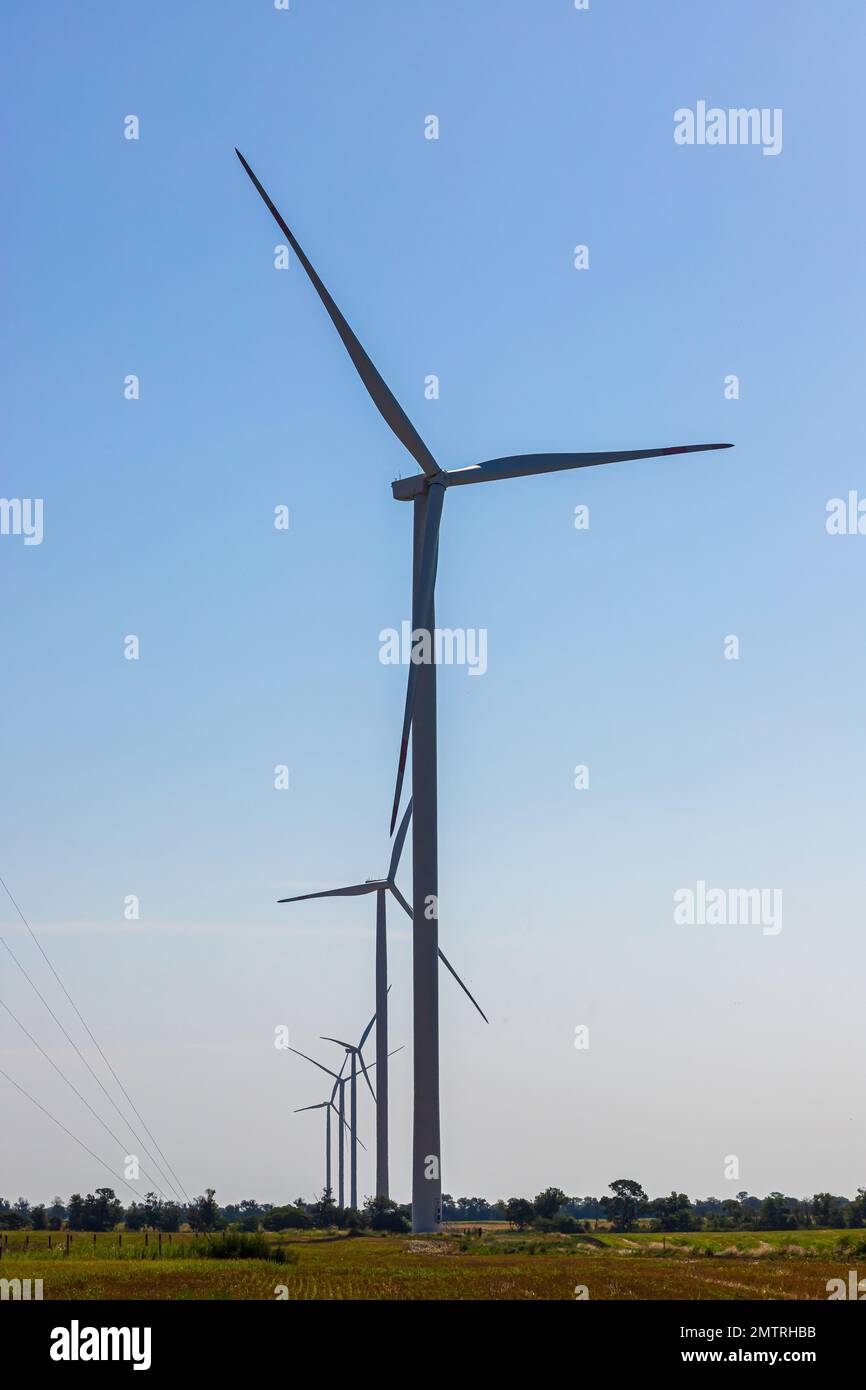 wind mill or also wind-turbine on wind farm in rotation to generate ...