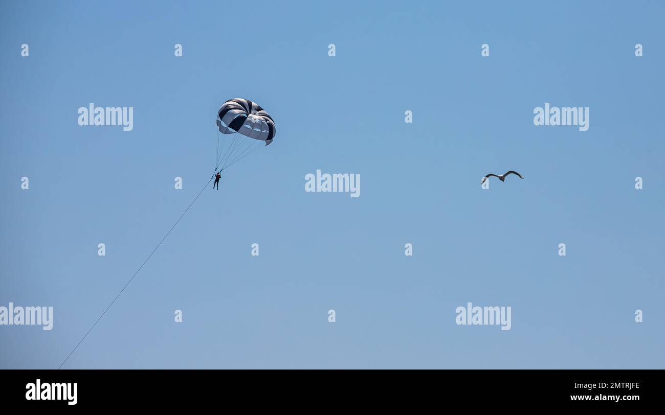 Parasailing is a popular type of outdoor activity at the sea. Parachute ...