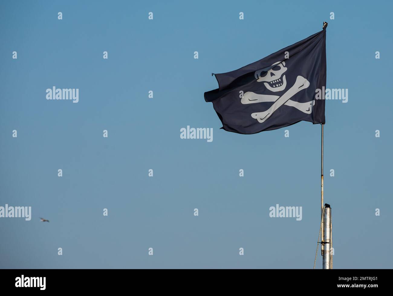 Jolly Roger Peter Pan Flag