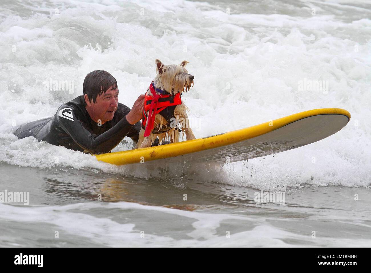 Dogs and their owners participate in the 2nd annual Surf City Surf Dog ...