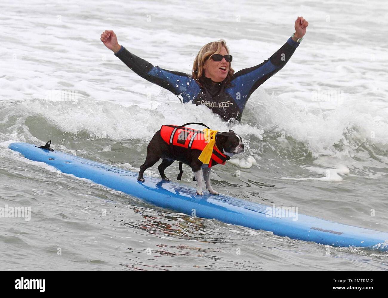 Dogs and their owners participate in the 2nd annual Surf City Surf Dog ...