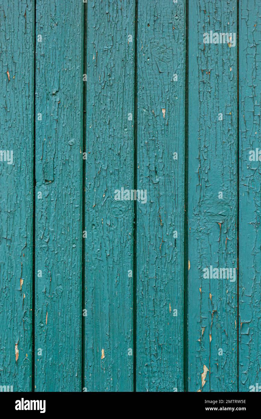 Blue wood texture background coming from natural tree. Old wooden ...