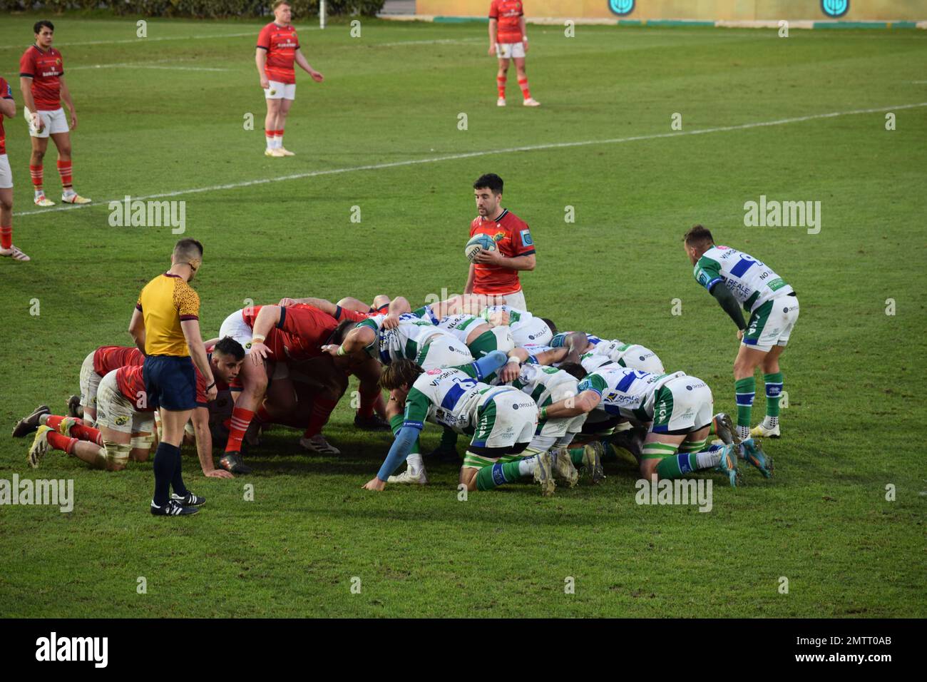 Munster scrum during their match against Benetton rugby in Treviso in ...