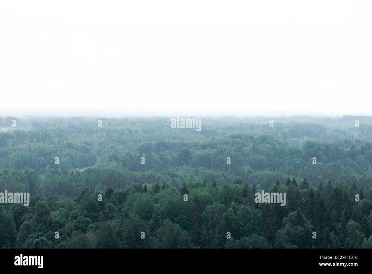 An aerial view of forest with dense trees Stock Photo - Alamy