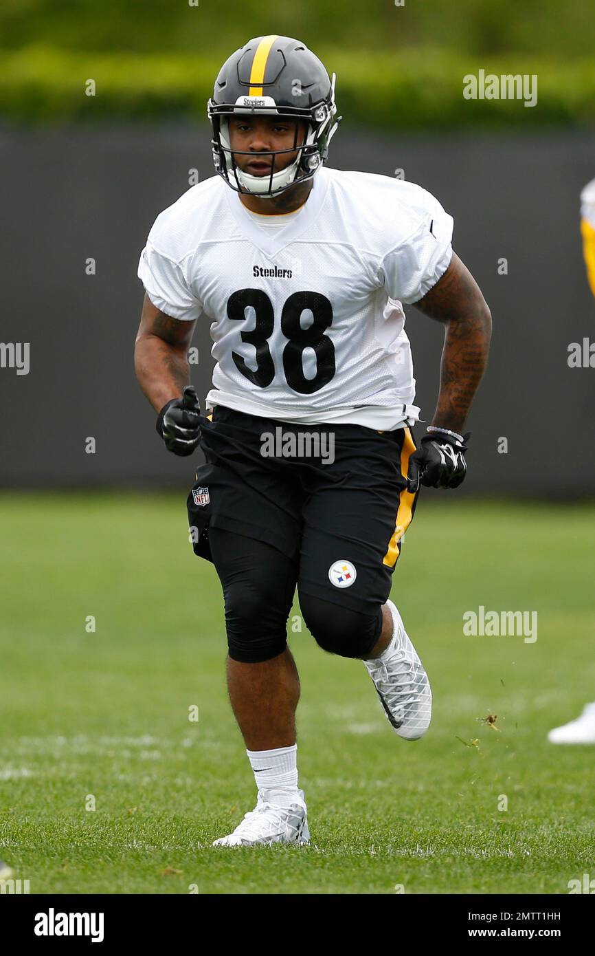 Pittsburgh Steelers running back Rushed Shell (38) during an NFL ...