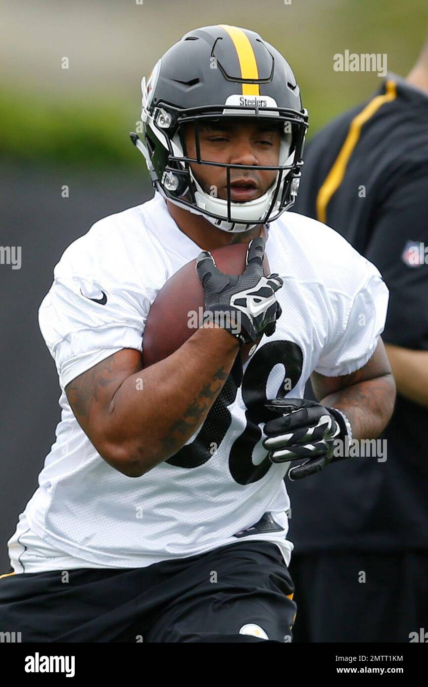 Pittsburgh Steelers running back Rushed Shell (38) during an NFL ...