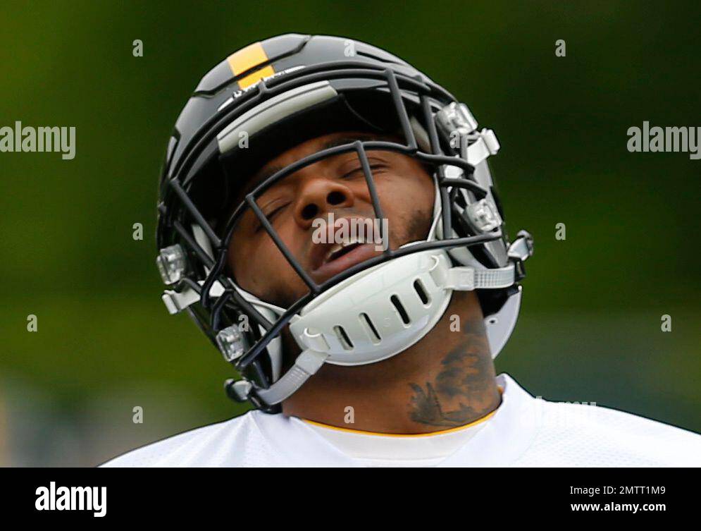 Pittsburgh Steelers running back Rushed Shell (38) during an NFL ...