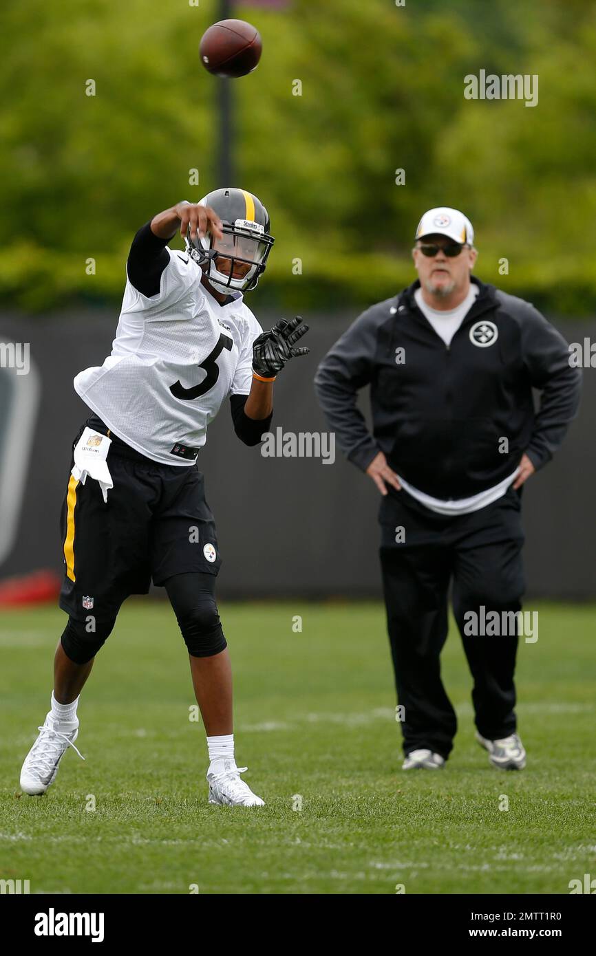 Pittsburgh Steelers quarterback Joshua Dobbs (5) during an NFL football ...