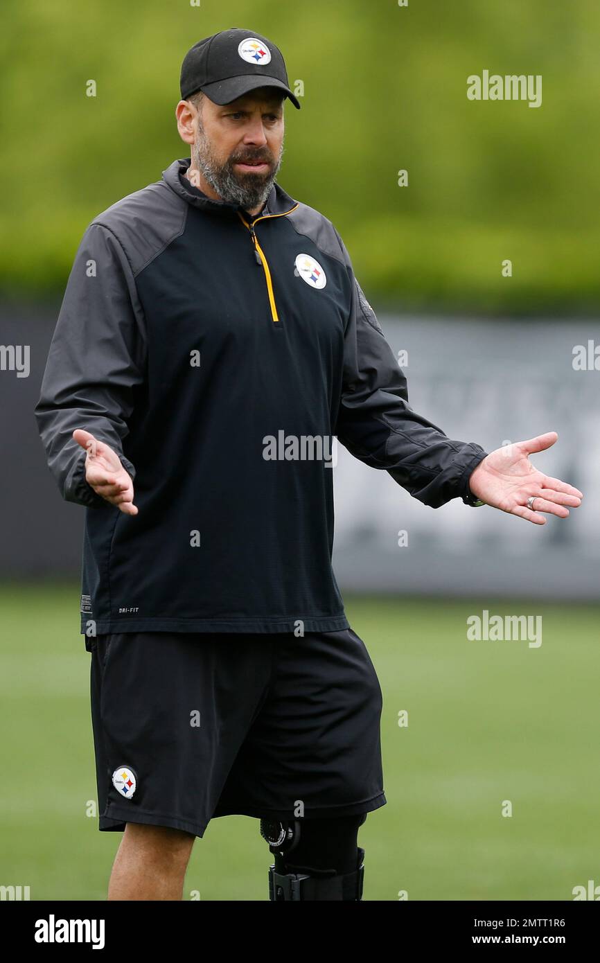 Pittsburgh Steelers offensive coordinator Todd Haley during an NFL ...