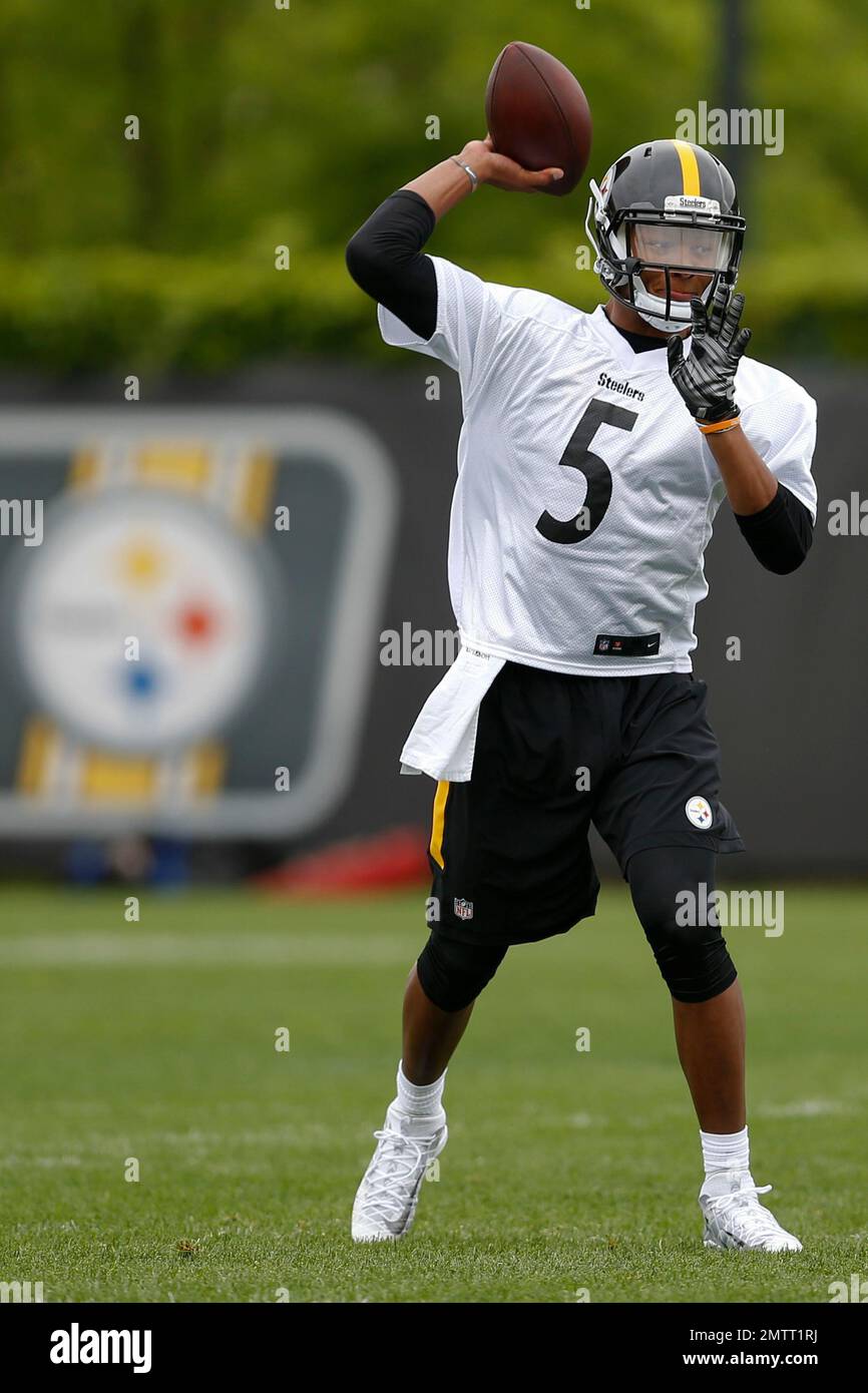 Pittsburgh Steelers quarterback Joshua Dobbs (5) during an NFL football ...