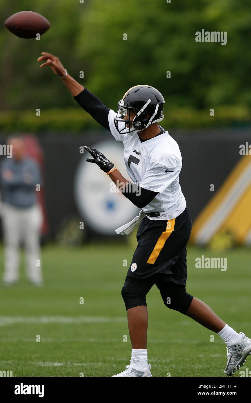 Pittsburgh Steelers quarterback Joshua Dobbs (5) during an NFL football ...
