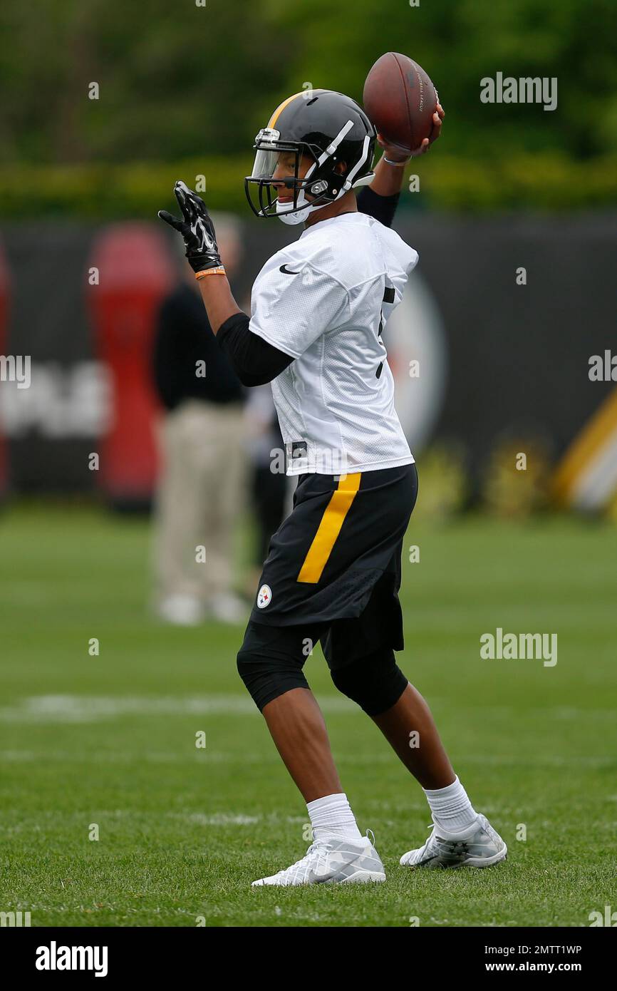 Pittsburgh Steelers quarterback Joshua Dobbs (5) during an NFL football ...
