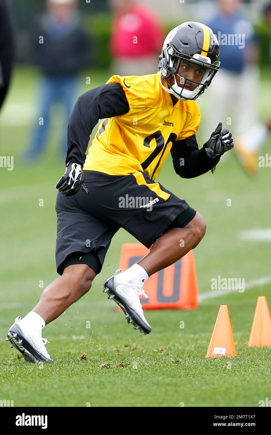 Pittsburgh Steelers cornerback Cameron Sutton (20) during an NFL ...