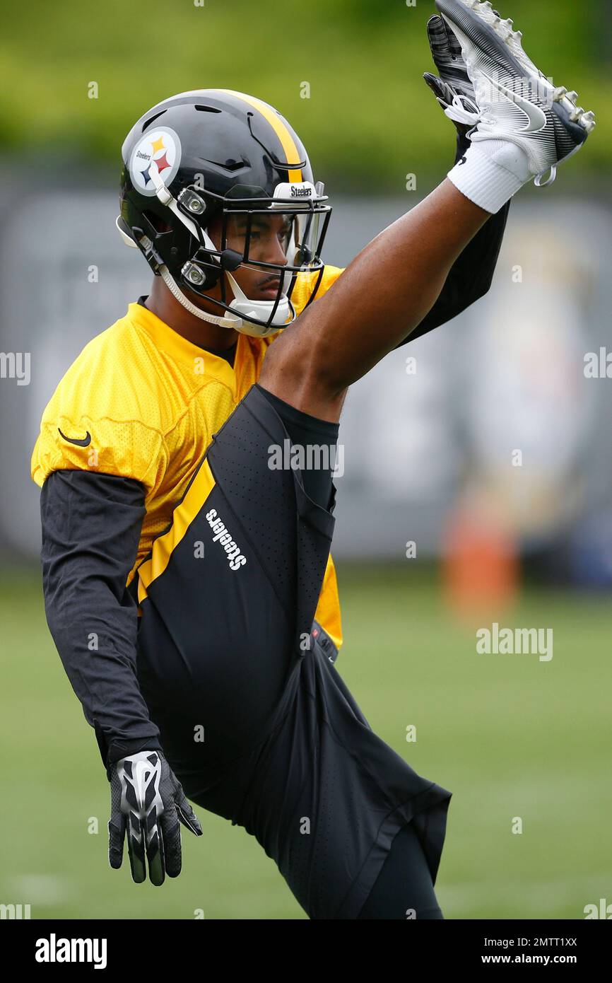 Pittsburgh Steelers cornerback Cameron Sutton (20) during an NFL ...