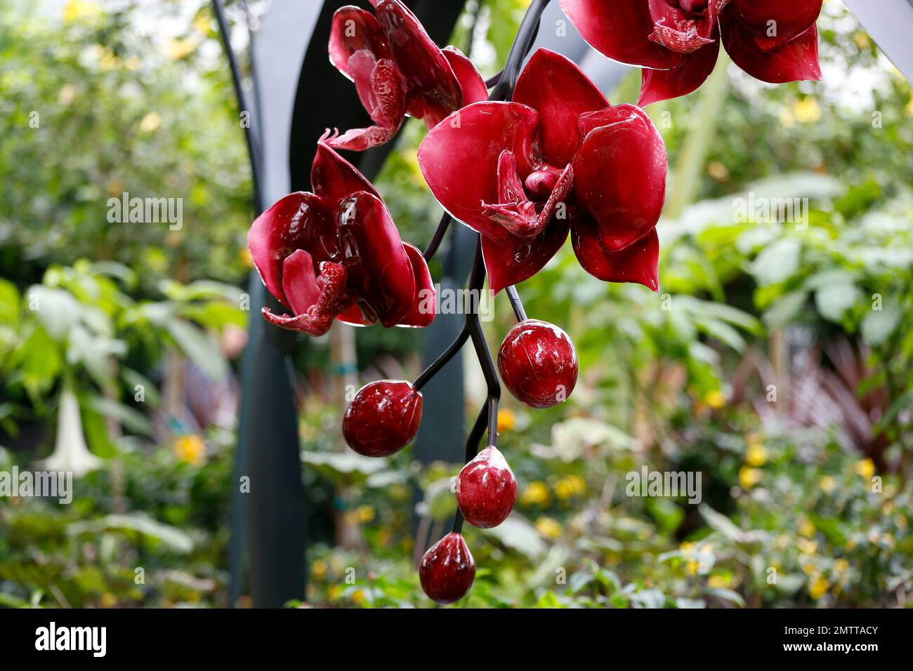 glass artwork by Jason Gamrath on exhibit at Phipps Conservatory and ...