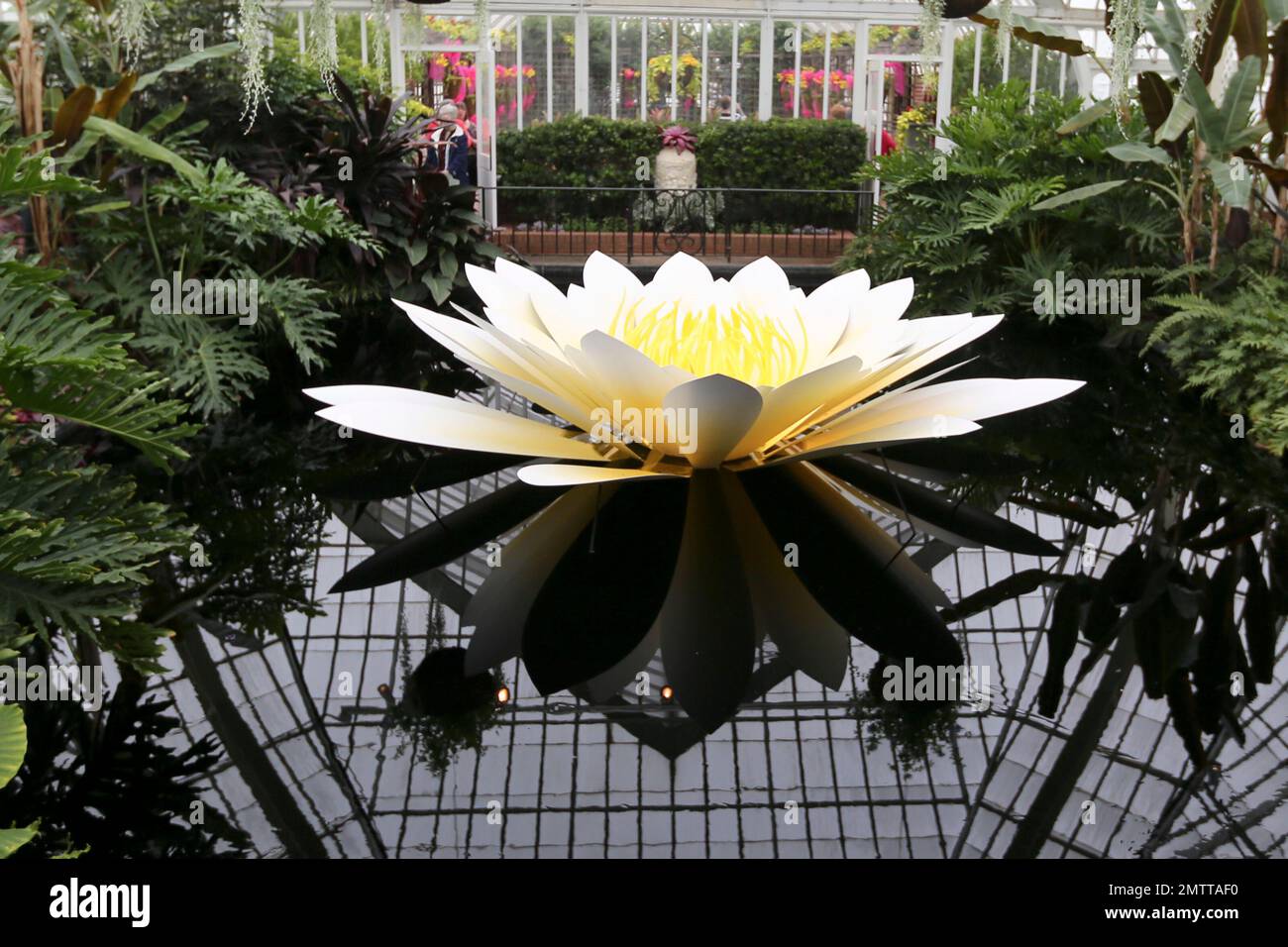 A giant water lilly piece of glass artwork by Jason Gamrath is on ...