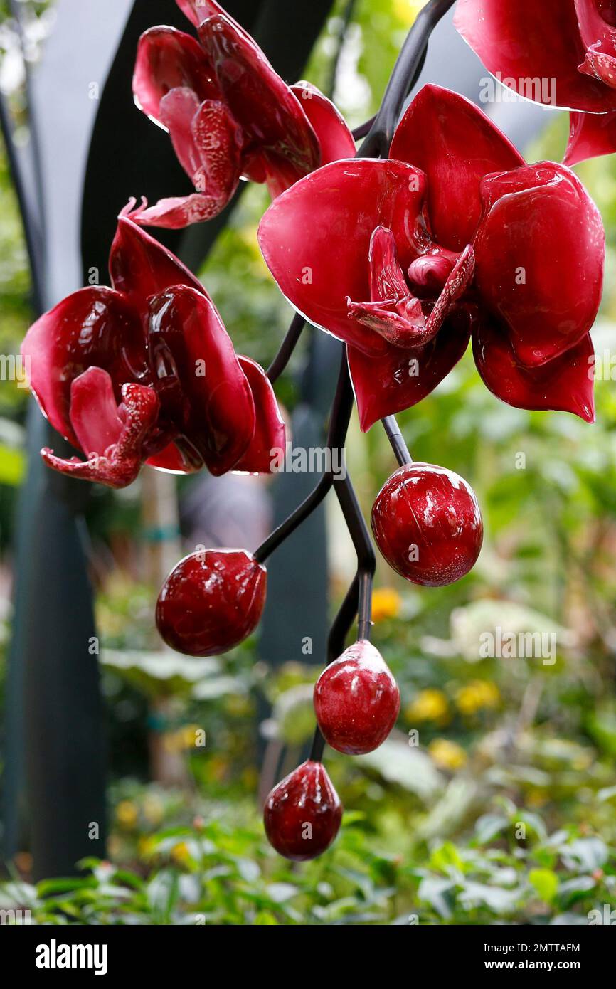 Glass flower artwork by Jason Gamrath is on exhibit at Phipps ...